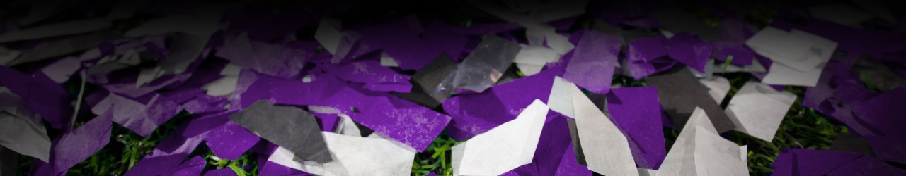 Official Baltimore Ravens Fan Packages | Ravens Tickets, Hospitality ...