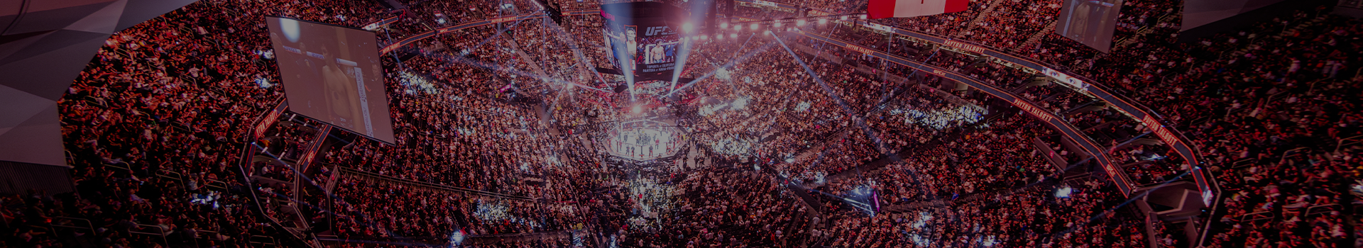 UFC VIP